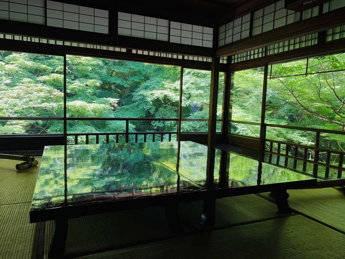Kyoto in May is known for its green foliage!! - Let's take a walk ...