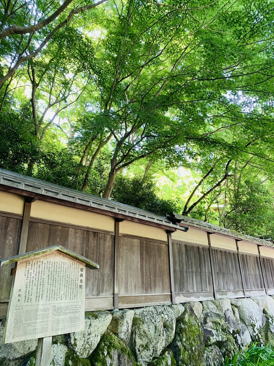 Kyoto in May is known for its green foliage!! - Let's take a walk ...