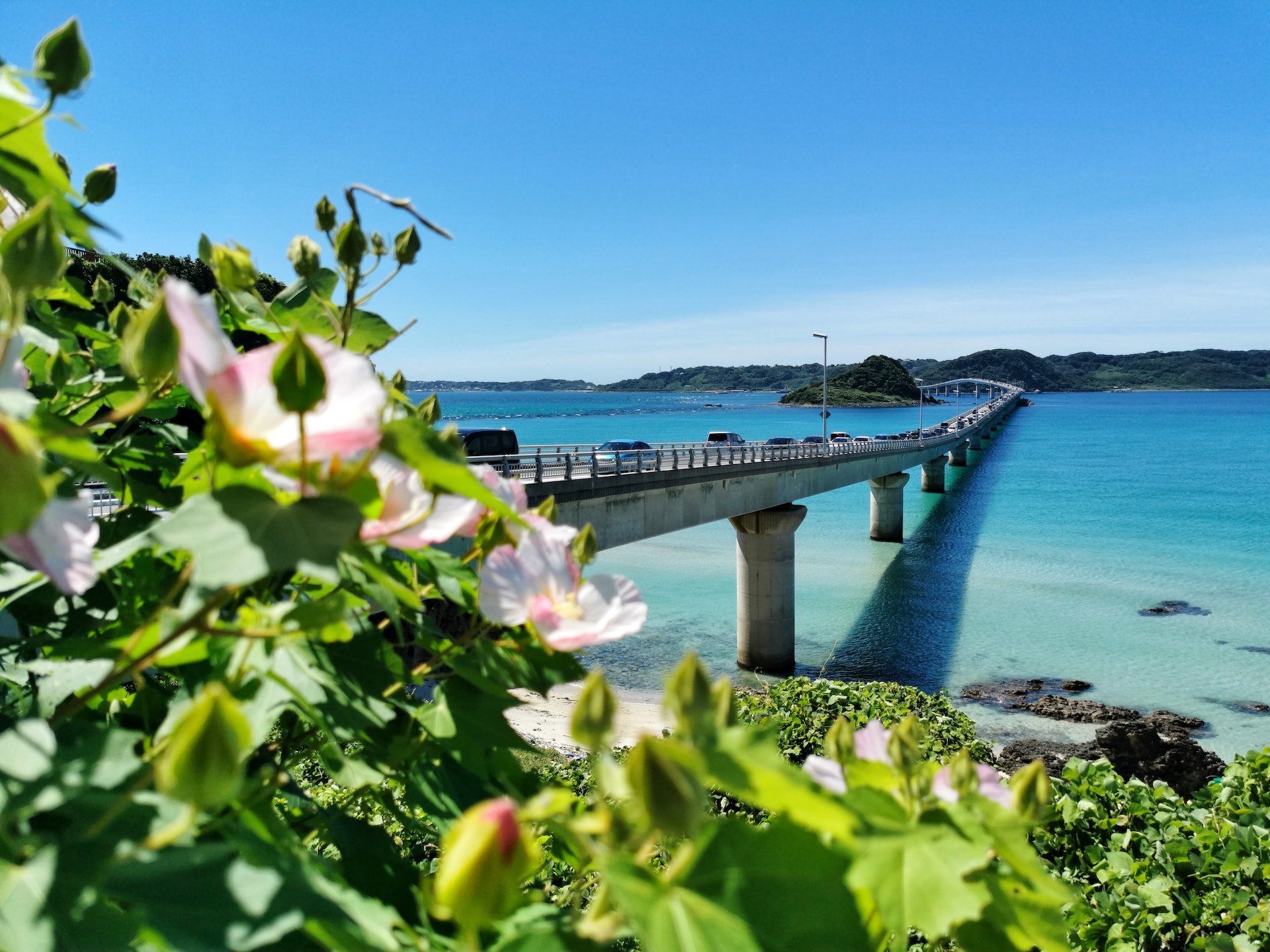 10 Unique Things to Do in Okinawa - Let's take a walk through Japan